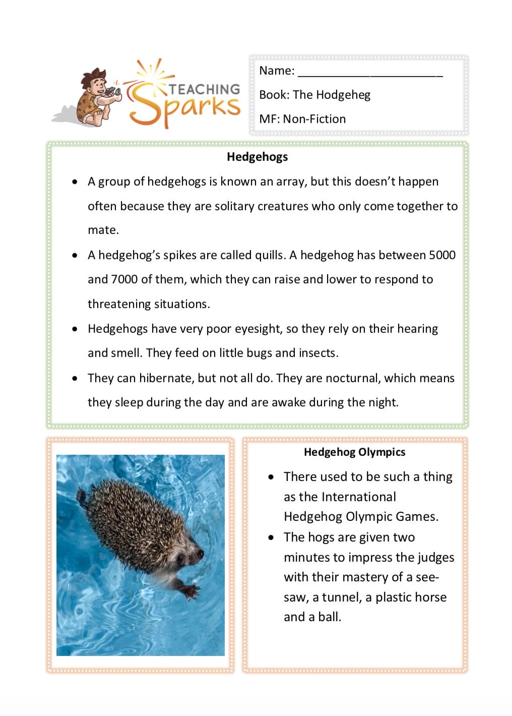 The Hodgeheg | Year 2 / 3 Teaching Resources | Planning